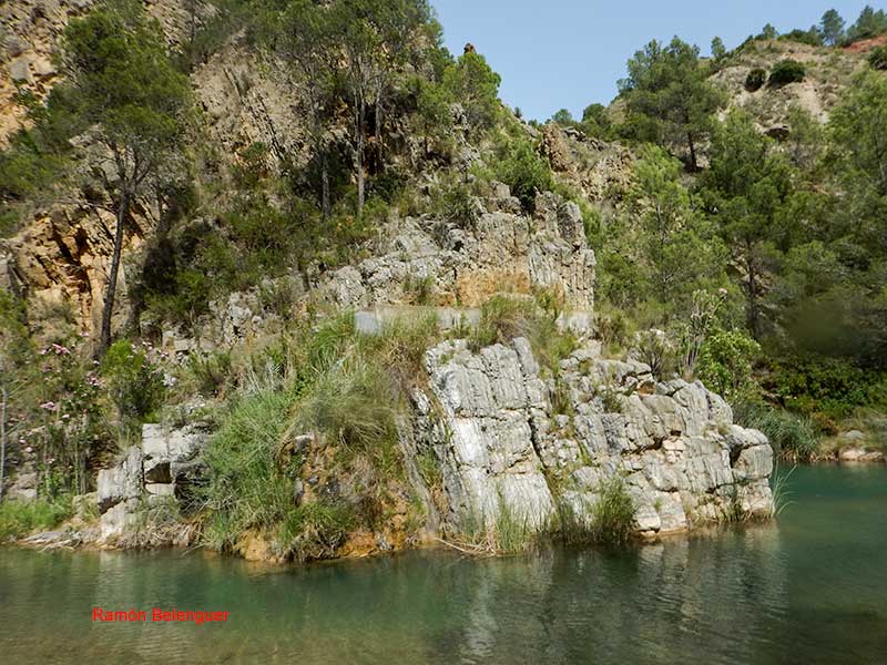 BICHOS Y MAS VLC: DE PASEO POR El RÍO FRAILE MENOS CONOCIDO