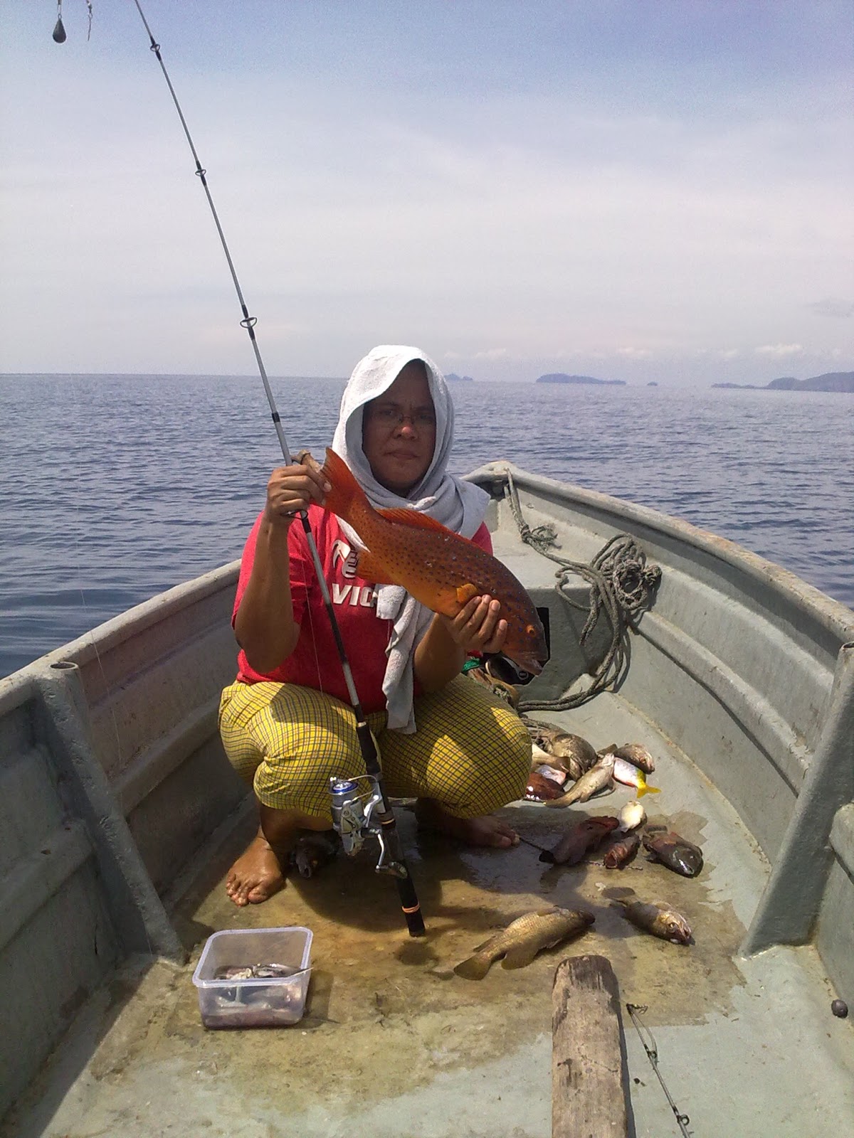 Bot Pancing Mersing Tanjung Leman-Pulau Tinggi - Resort Pulau Tinggi ...