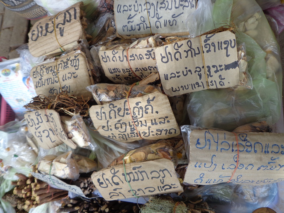 The Frog & The Moon: Pre-Natal Herbal Medicine - Hmong Style