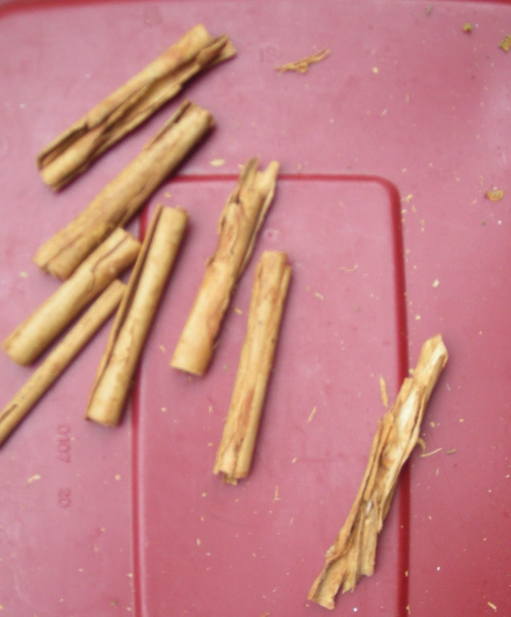 How to harvest cinnamon | La Gringa's Blogicito