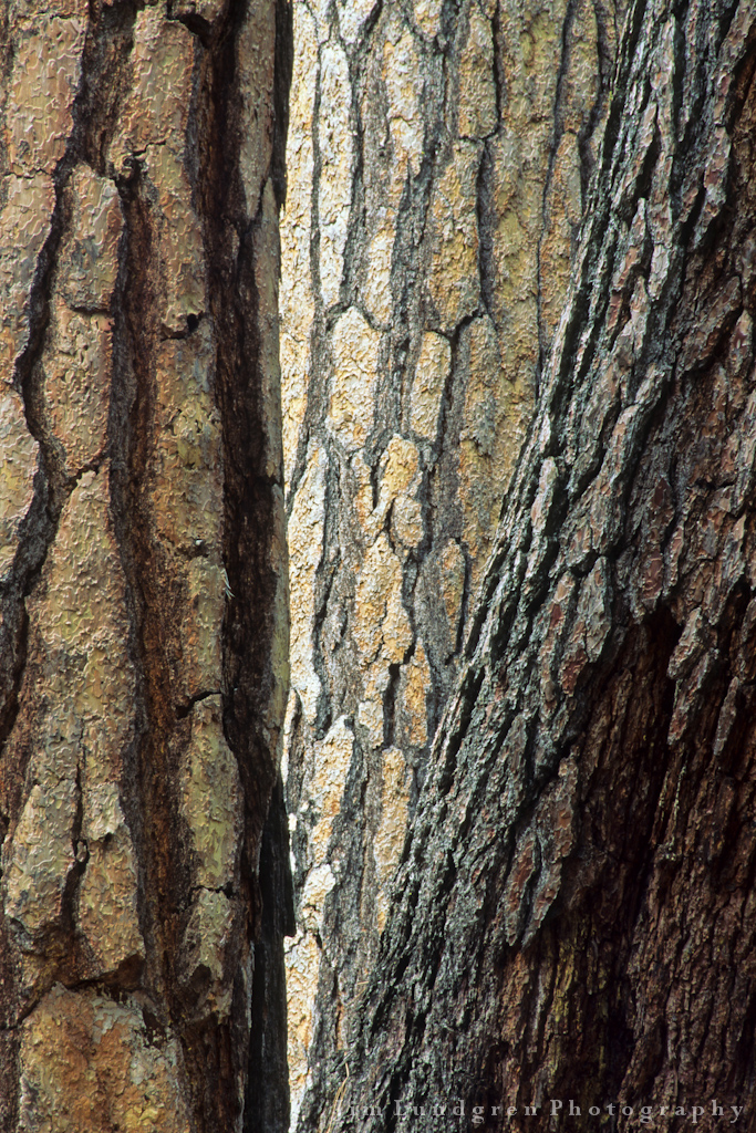 Jim Lundgren Photography