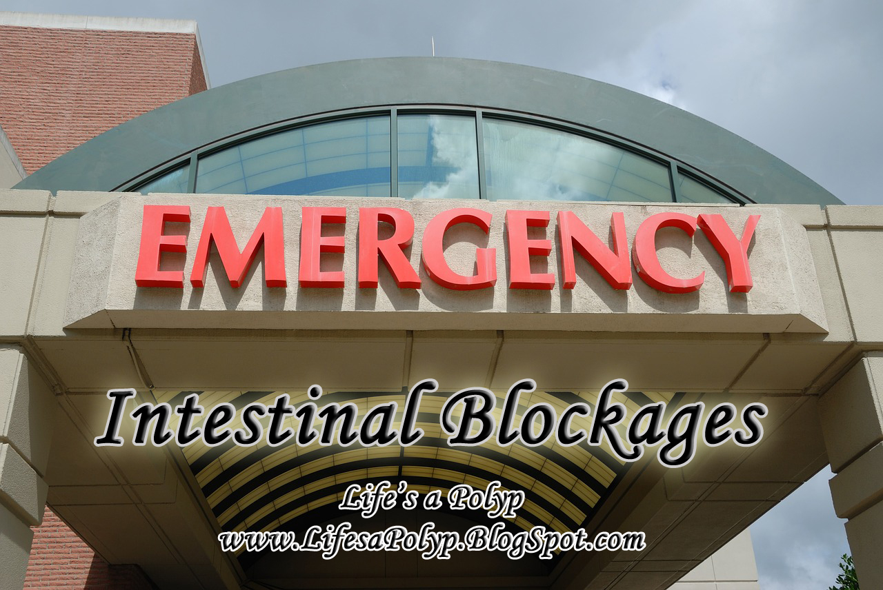 Life's a Polyp : Intestinal Blockages