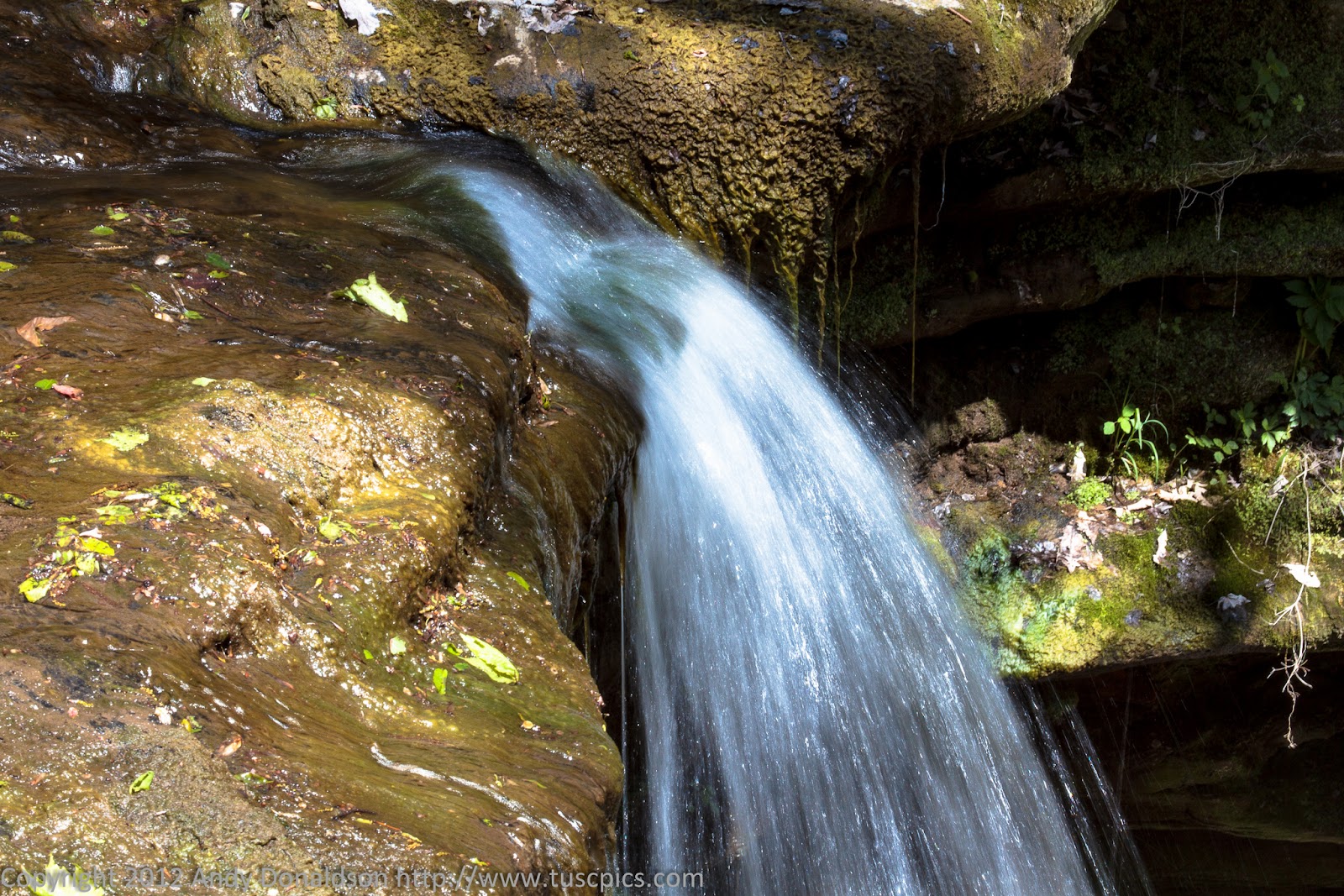 Welcome to the blog of Andy Donaldson Photography: Dundee Falls
