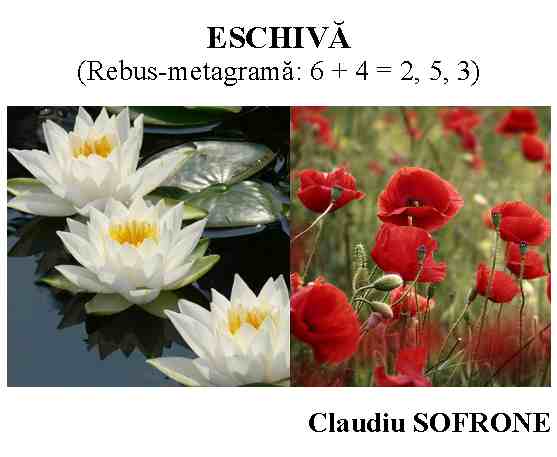 rebusmania-blog-ciocianu: ESCHIVĂ (rebus-metagramă)