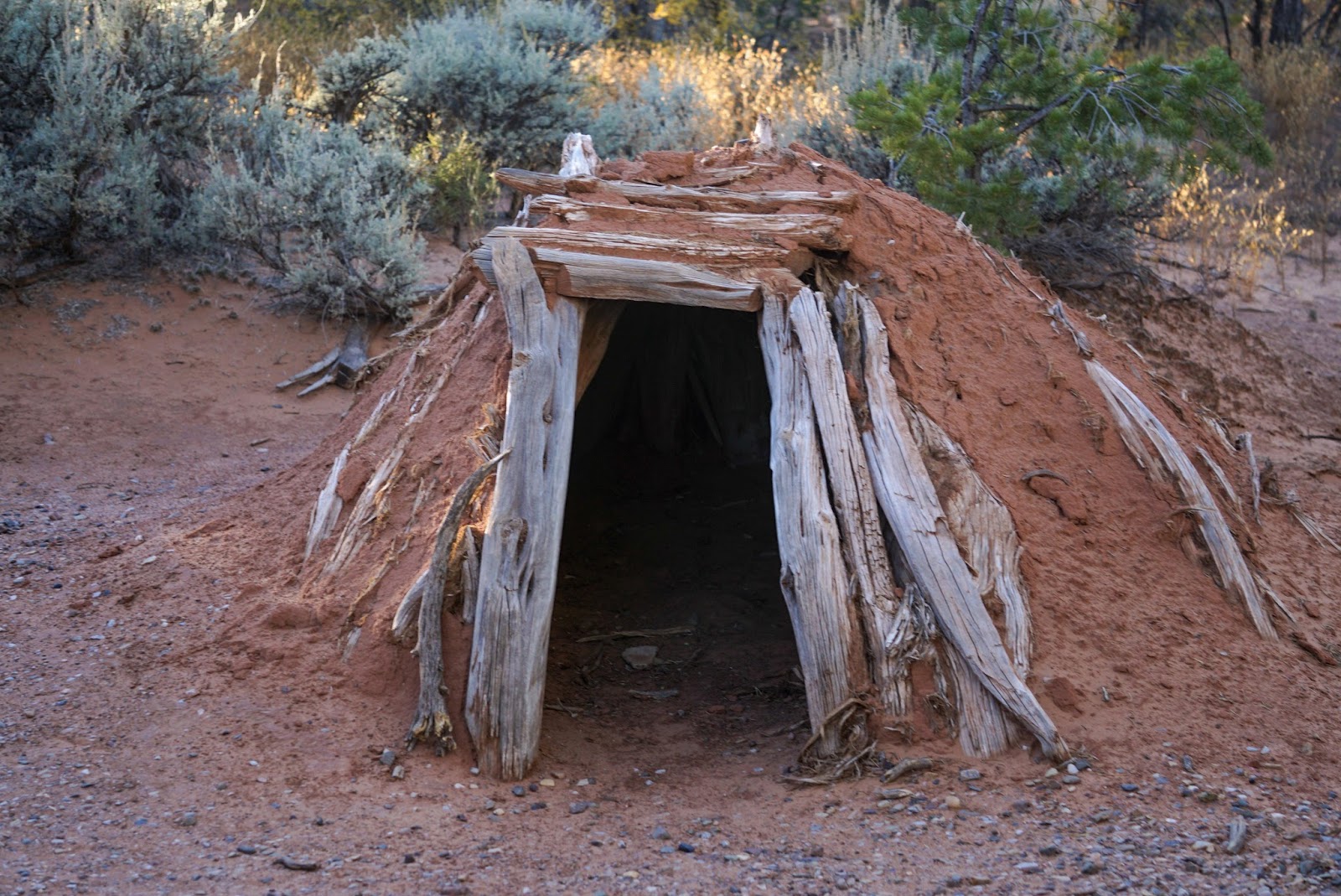 Along for the ride: Navajo National Monument AZ