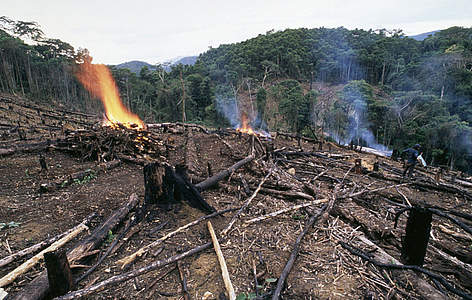 3.5.2 problemática y deterioro ambiental: Problemática Y Deterioro ...