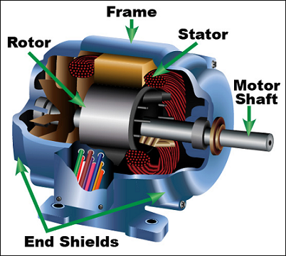 Components of Induction Motor - EEE COMMUNITY