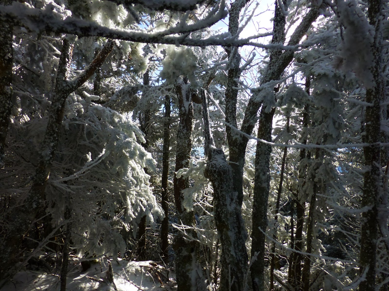 Off on Adventure: Morgan Mountain & Cooper Kiln Pond - Taylor Pond Wild ...