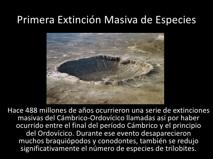 ANIMALEs EN LAs SOMBRAs.: 2017