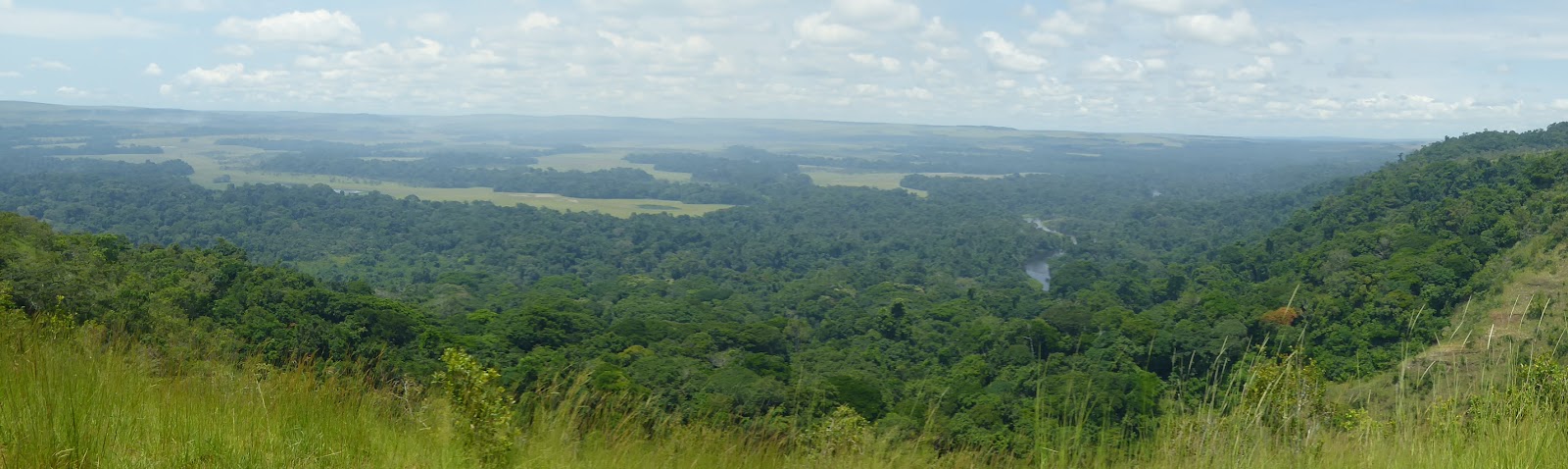 séjour au Gabon: Le parc de Léconi