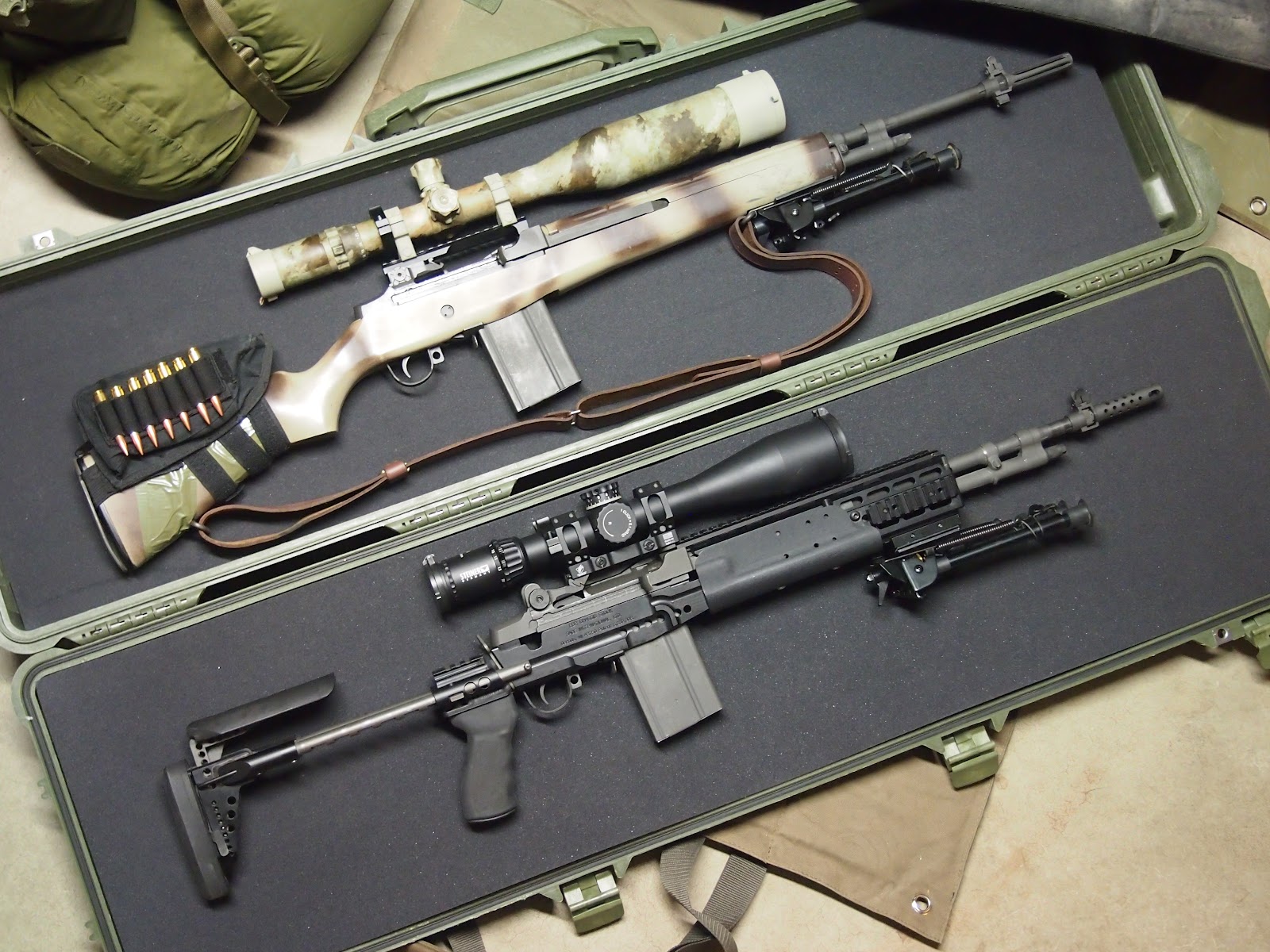 Mister Donut's Firearms Blog: Norinco M14/Sage EBR Chassis