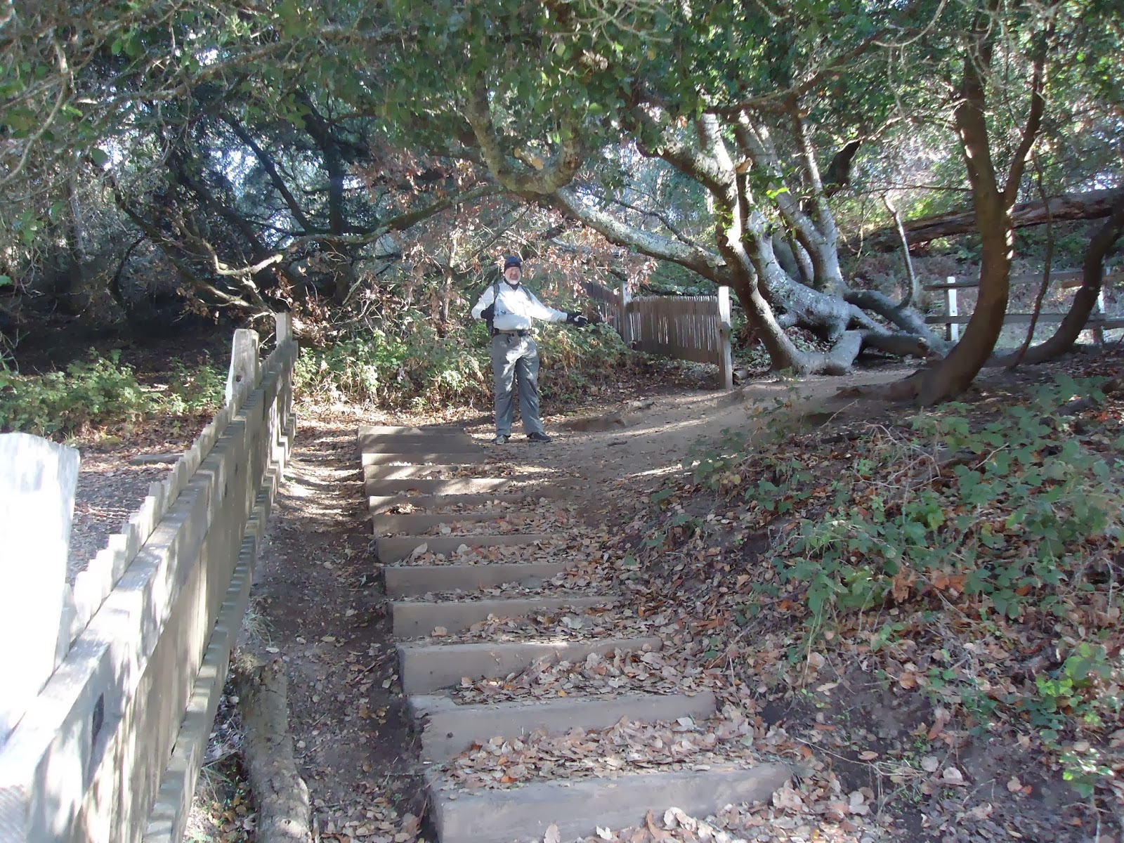 Agile Trekker: Earthquake Trail, Point Reyes National Seashore, CA