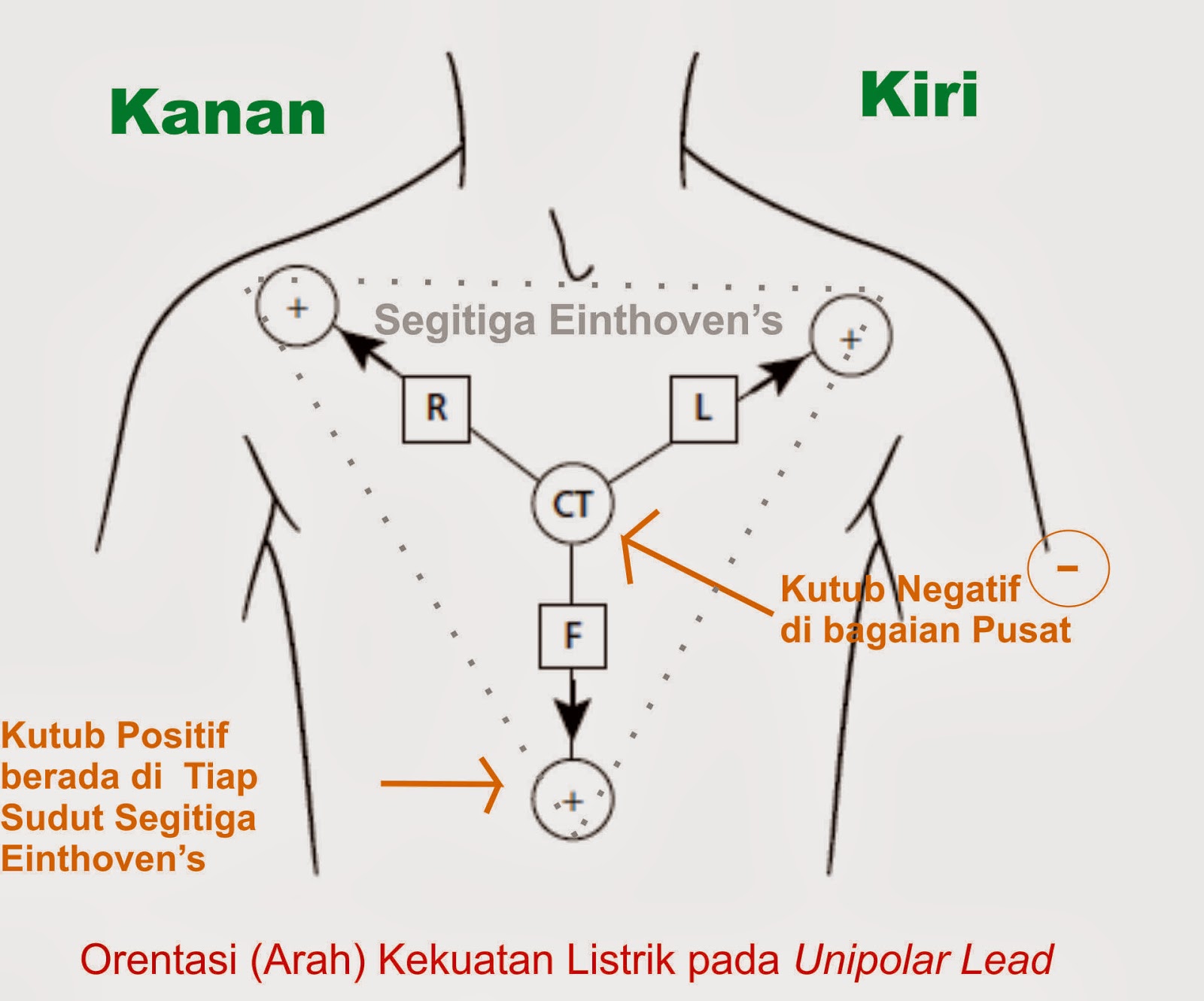 Medsign: Dasar-dasar EKG: Bagian 1
