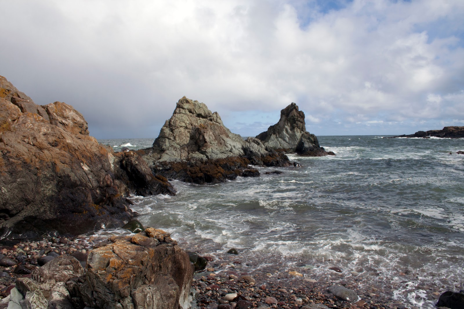Mold Spores: Geology Fieldtrip