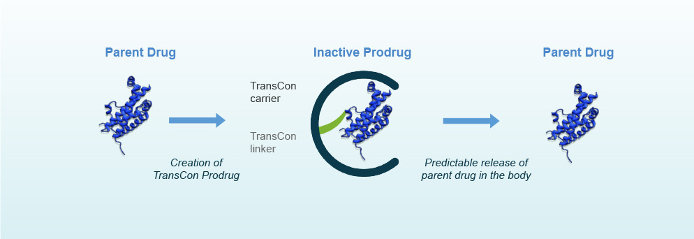 Treating Achondroplasia: Treating achondroplasia: TransCon CNP showed ...