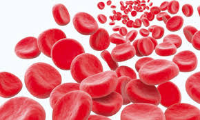 L'anémie ferriprive, une carence en fer