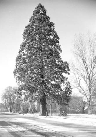 Salem Breakfast on Bikes: 1922 Piece Gives Alternate History for Waldo ...
