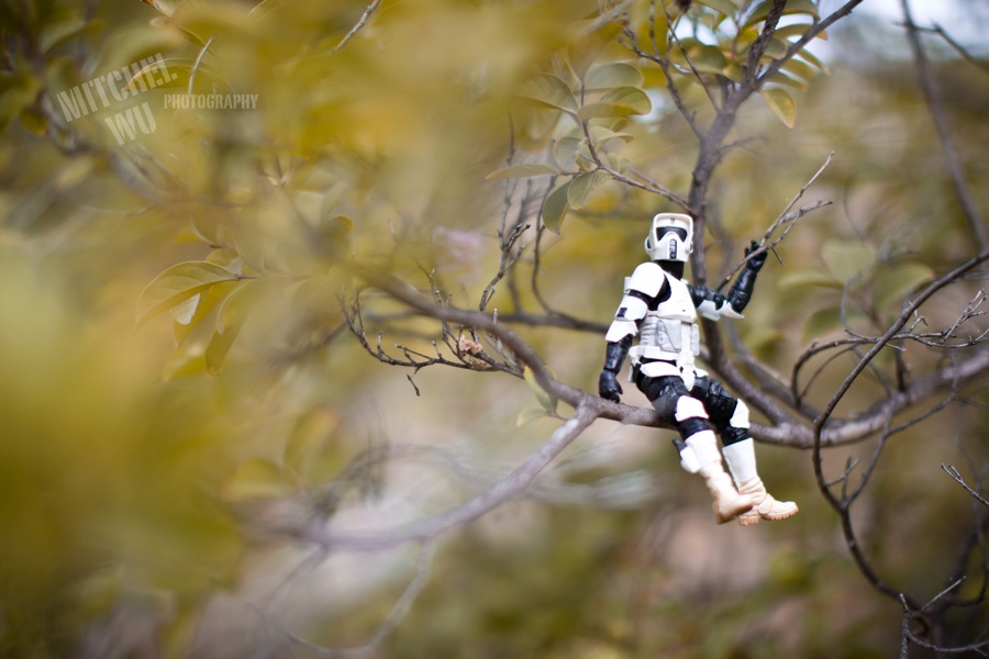 Mitchel Wu Toy Photography: August 2016