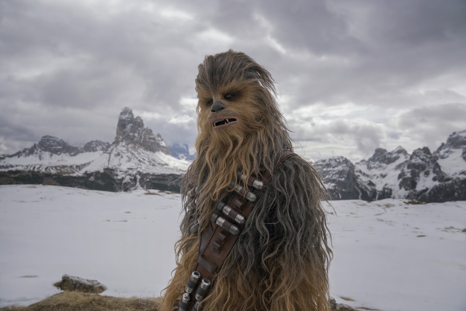 Sasaki Time: STAR WARS' CHEWBACCA CHALLENGES FANS TO 'ROAR FOR CHANGE'