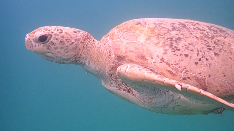 TRAVELOG: PULAU PERHENTIAN TERENGGANU : Menyaksikan Pulau yang Indah ...