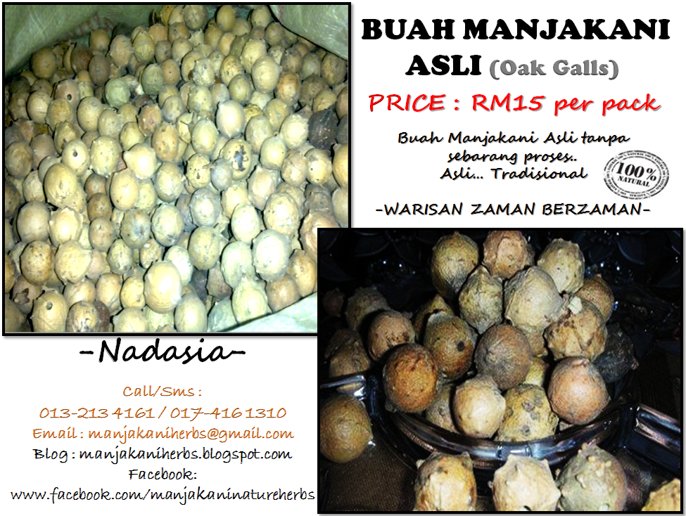 Manjakani Herbs: Buah Manjakani Asli