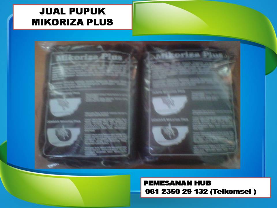 Pupuk Hayati Mikoriza