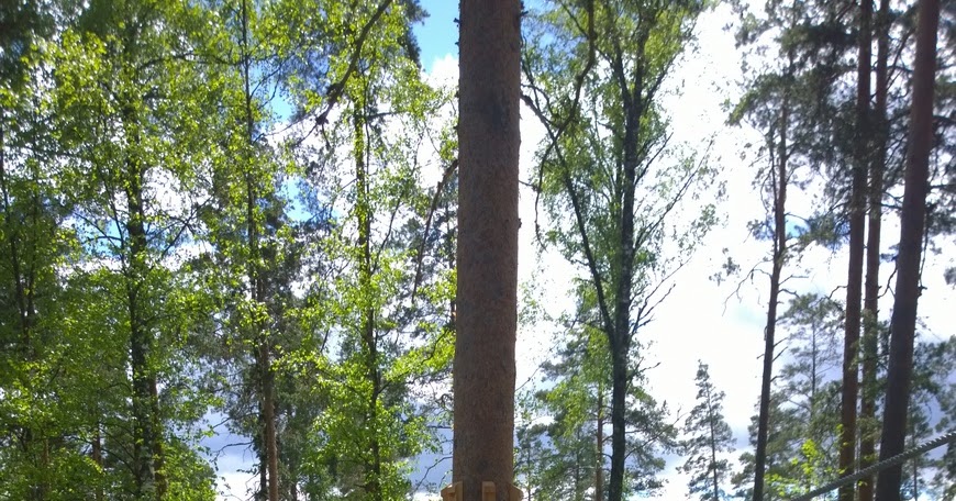 Seikkailupuisto Pajulahti