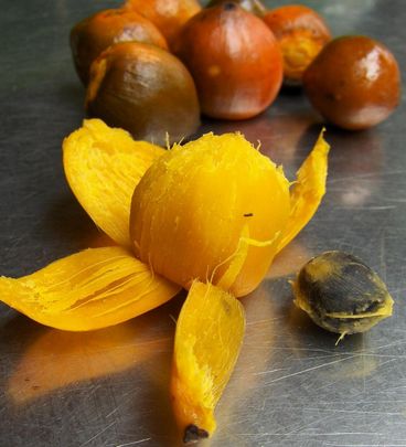 La fruta Bactris gasipaes sus beneficios para la salud - Salud Integral