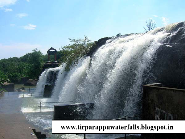 Tirparappu Water Falls: Falls Image