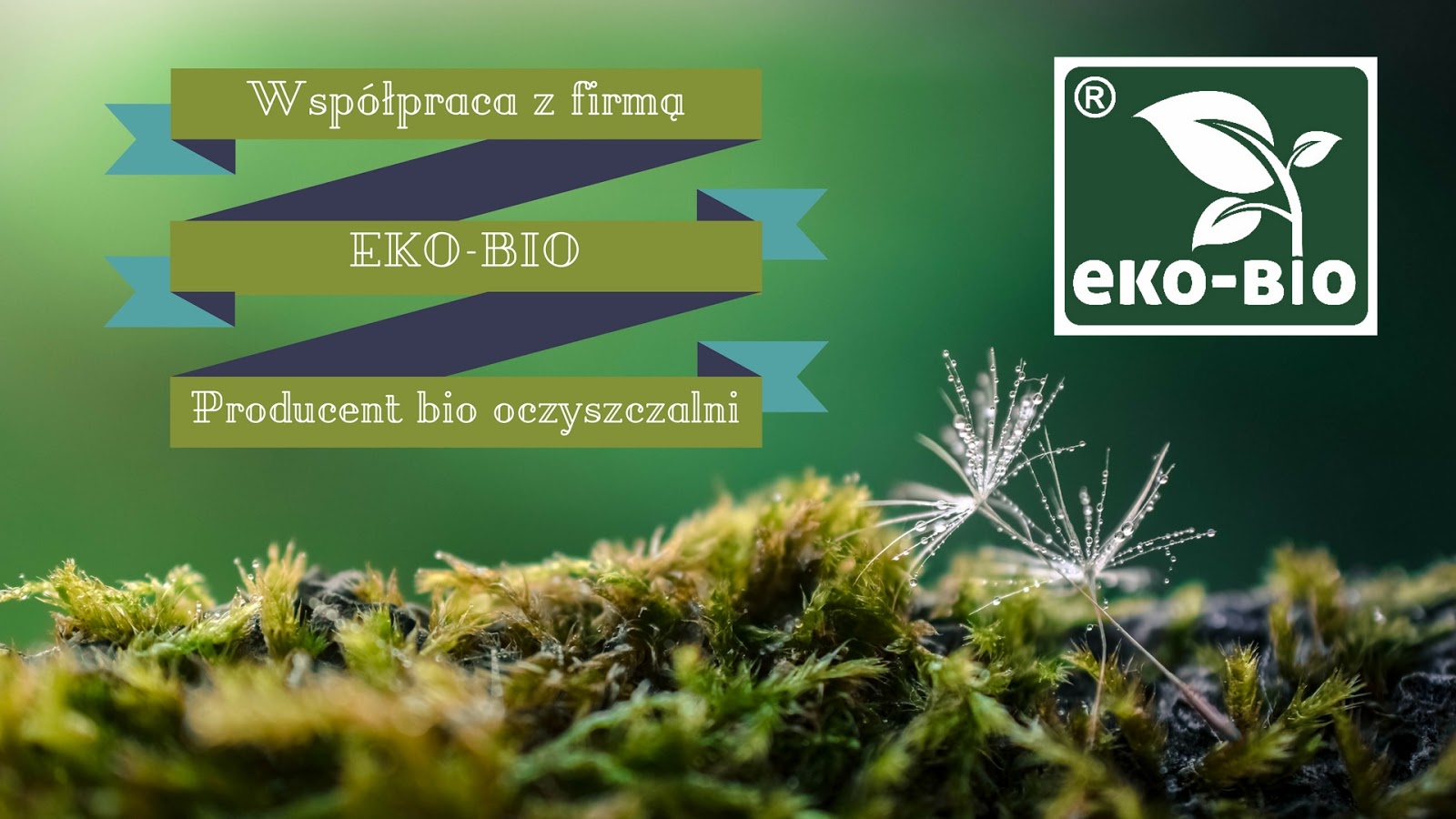 Gadżety na dobry dzień: Współpraca z firmą EKO-BIO Producent bio ...