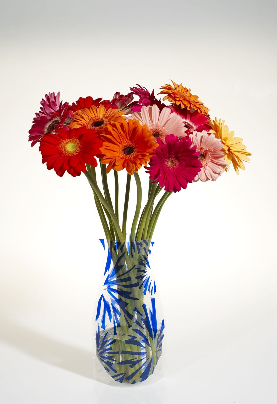 ArmaZém da Flor: VAZU - novo conceito de ......