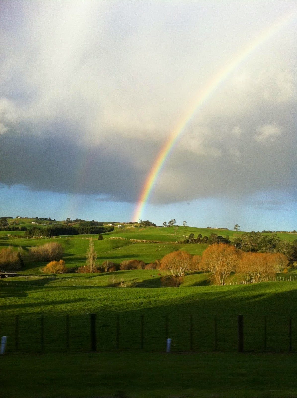 Flores, Cores e Amores: Tema colorido do dia - Arco-Íris
