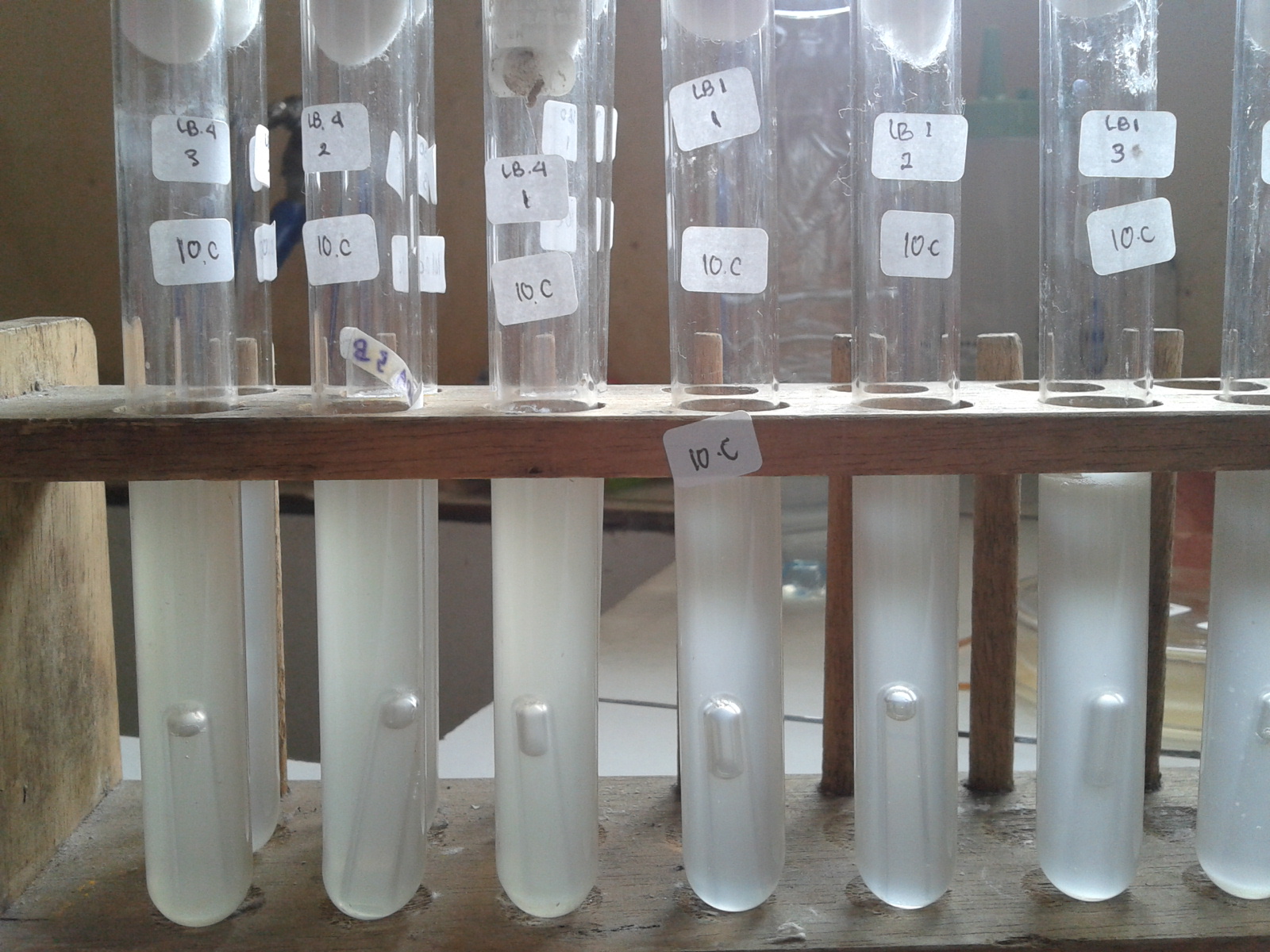 Media Ananda: Angka Lempeng Total