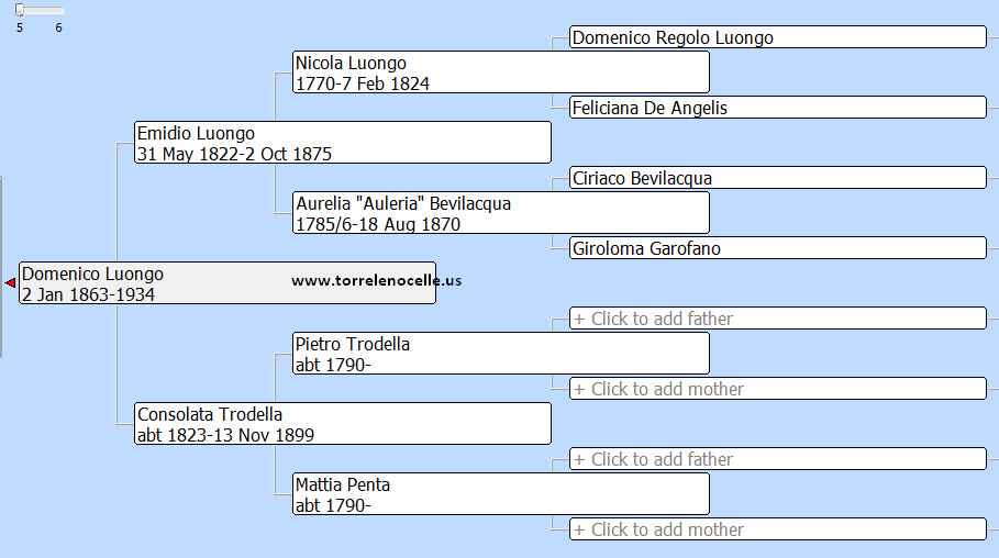 The Genealogy of Torre le Nocelle, Italy: 1863 Torre le Nocelle Birth - Domenico Luongo