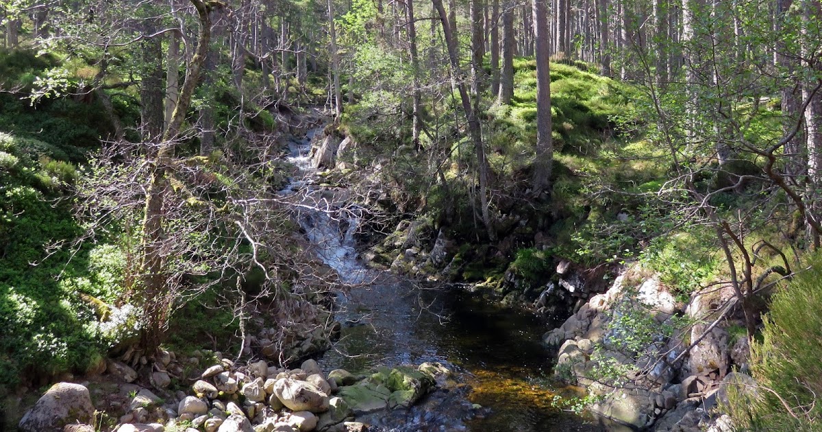 Desmondo's Ramblings: Lochnagar by the long, long route, Invercauld Bridge