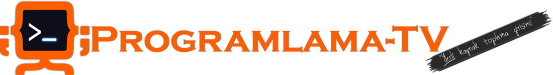 2013 | Programlama TV