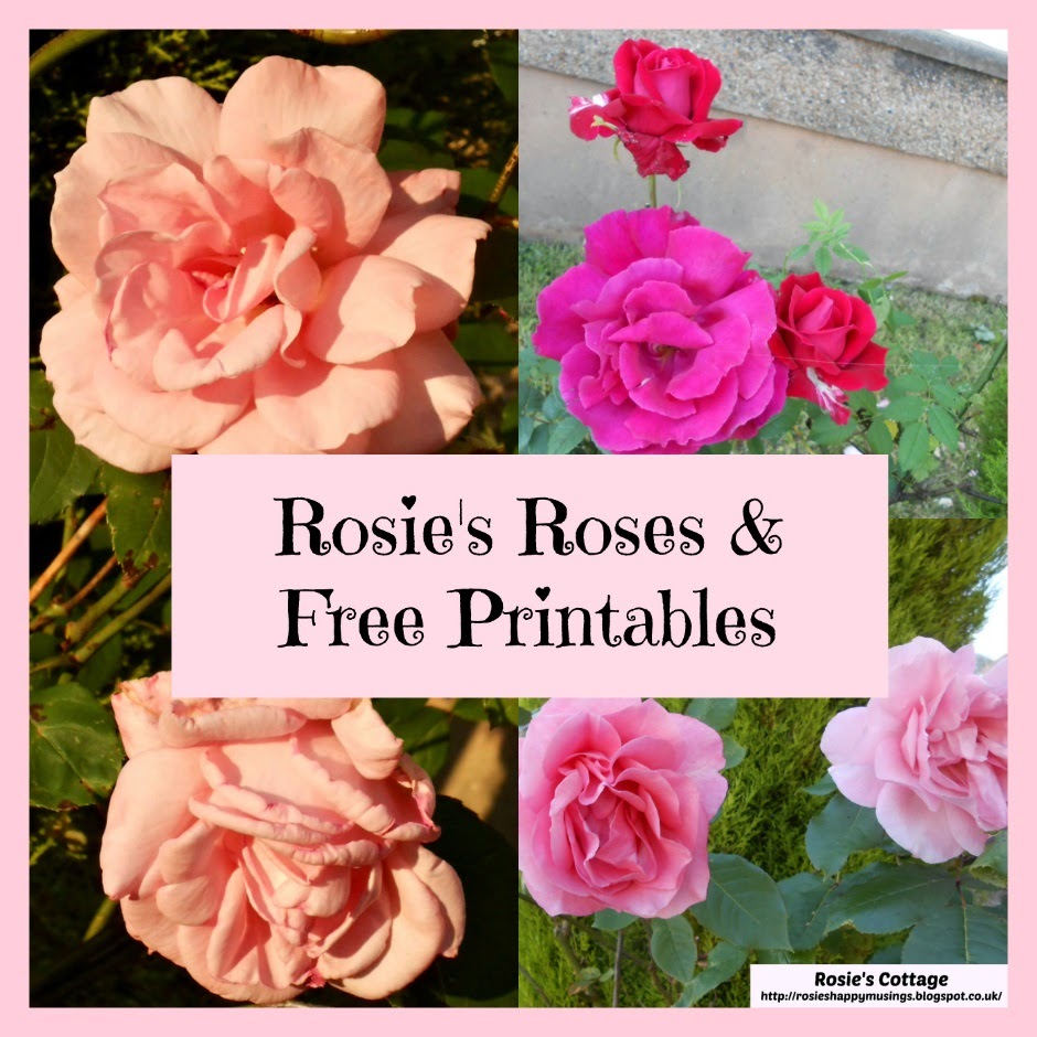 Rosie's Cottage: Rosie's Rose Garden In Bloom & Free Printables!