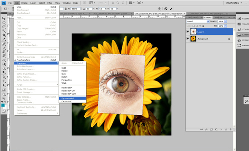 GRAFIS BLOG: The looking flower in Photoshop Tutorial