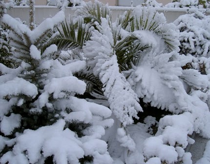 OLHAR OLEIROS: Nevou, mais uma vez, em Oleiros