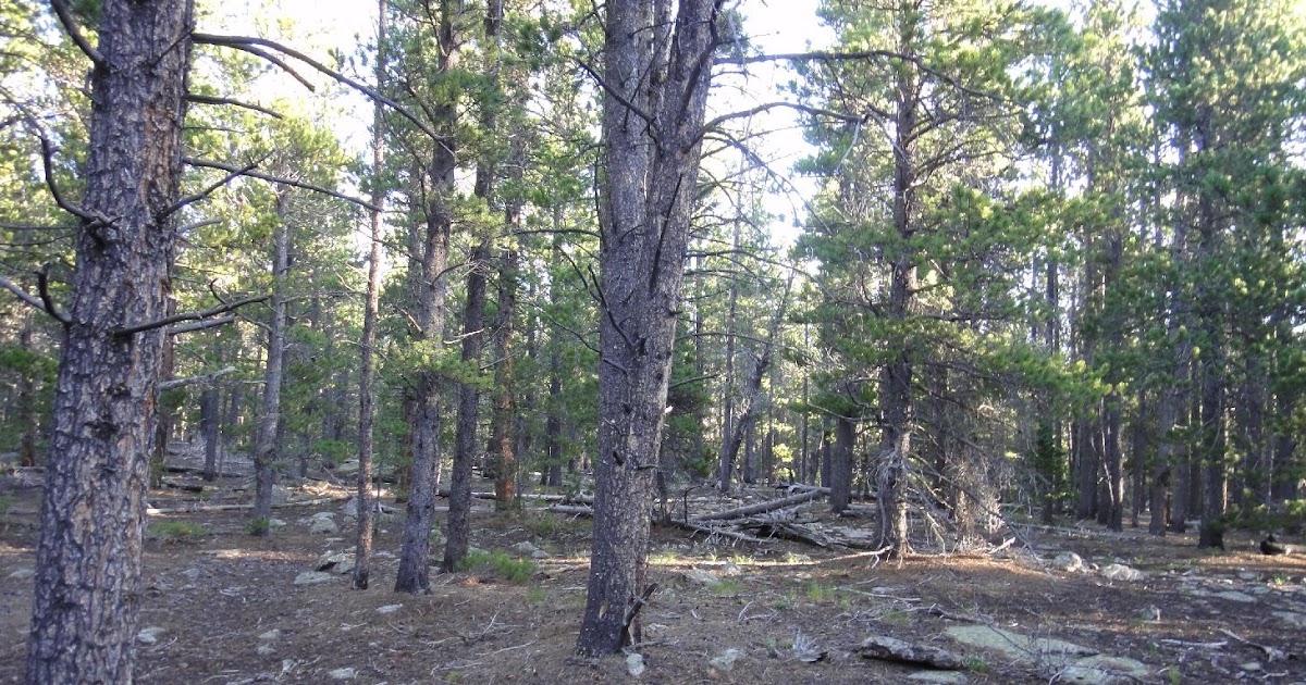 Hiking Rocky Mountain National Park: Mt. Meeker via Horse Creek Trailhead.