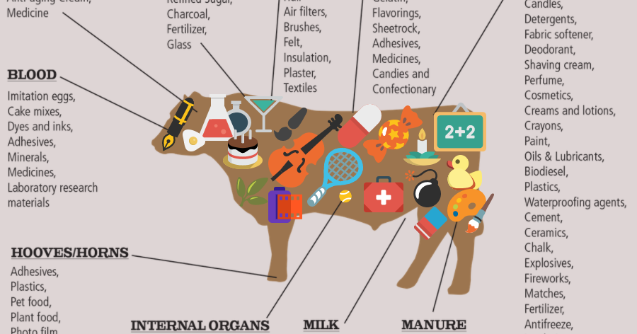 Australian Survival and Preppers..: Animal Parts Use Image.