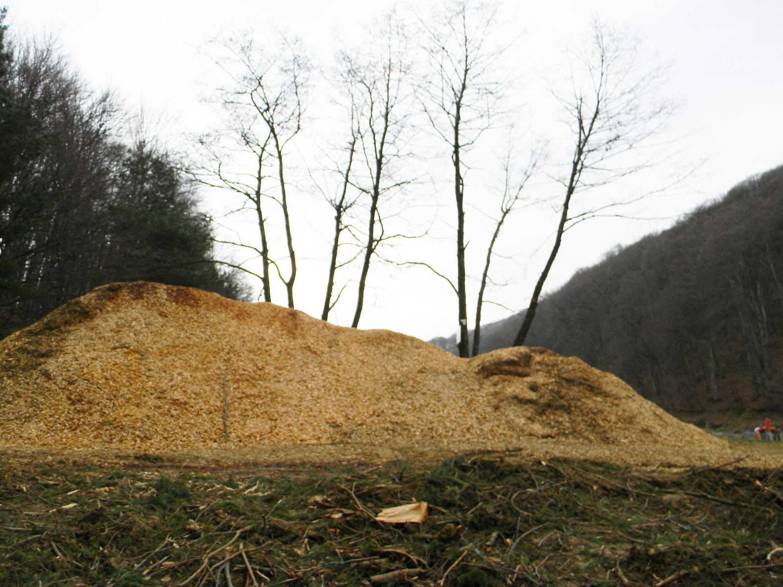Blog de Calatorii si Drumetii Montane.: Lacul de la Codlea ,jud.Brasov ...