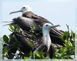 ATRACTIVOS TURISTICOS DE LA PROVINCIA DEL GUAYAS: GUAYAS
