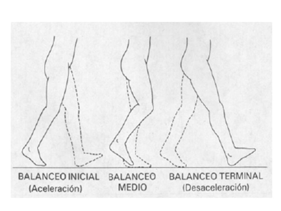 biomechanical analysis by Esteban Díaz and Pedro ossandon: la marcha ...