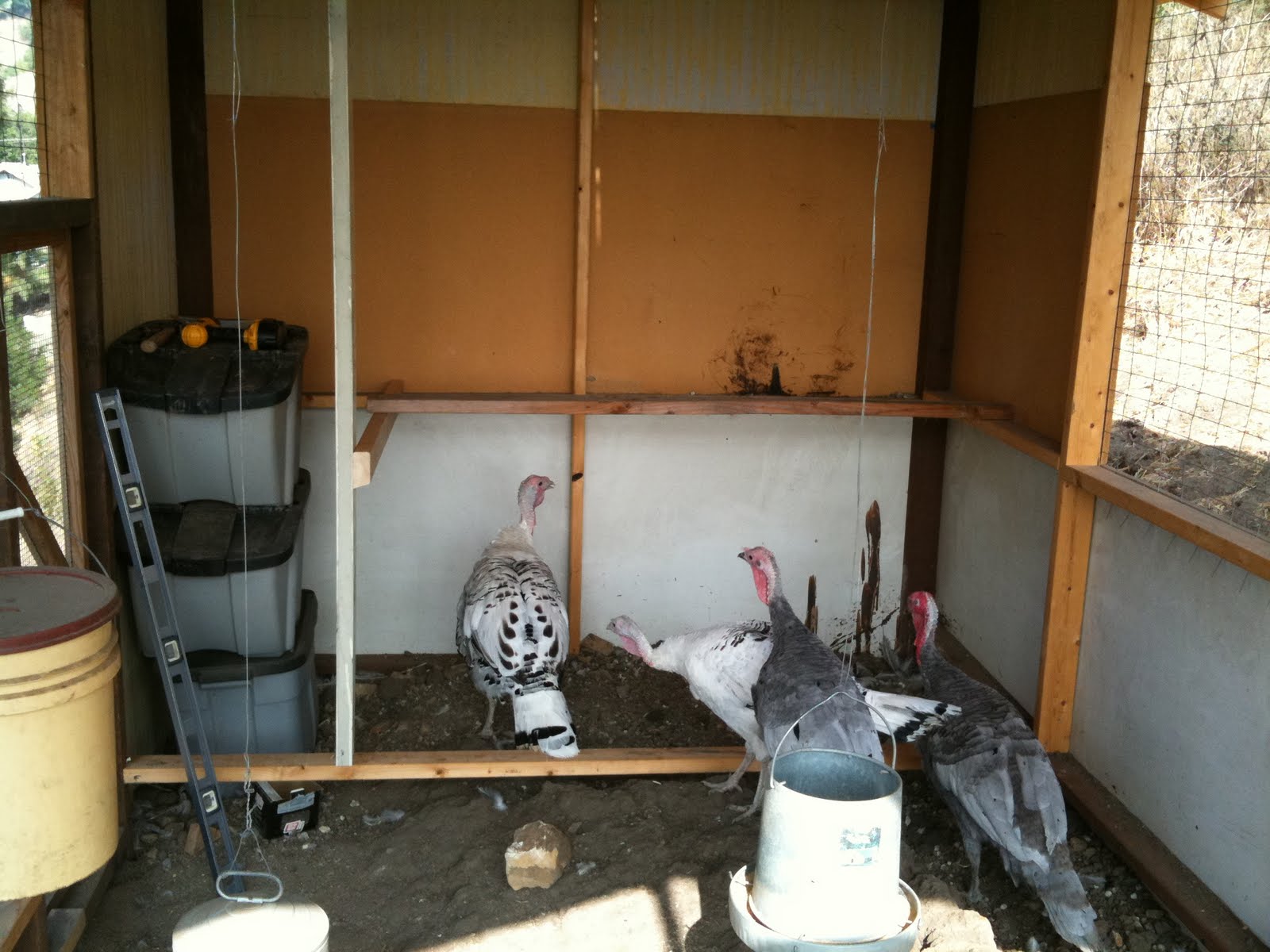 Party Valley Heights: Turkey Coop 9