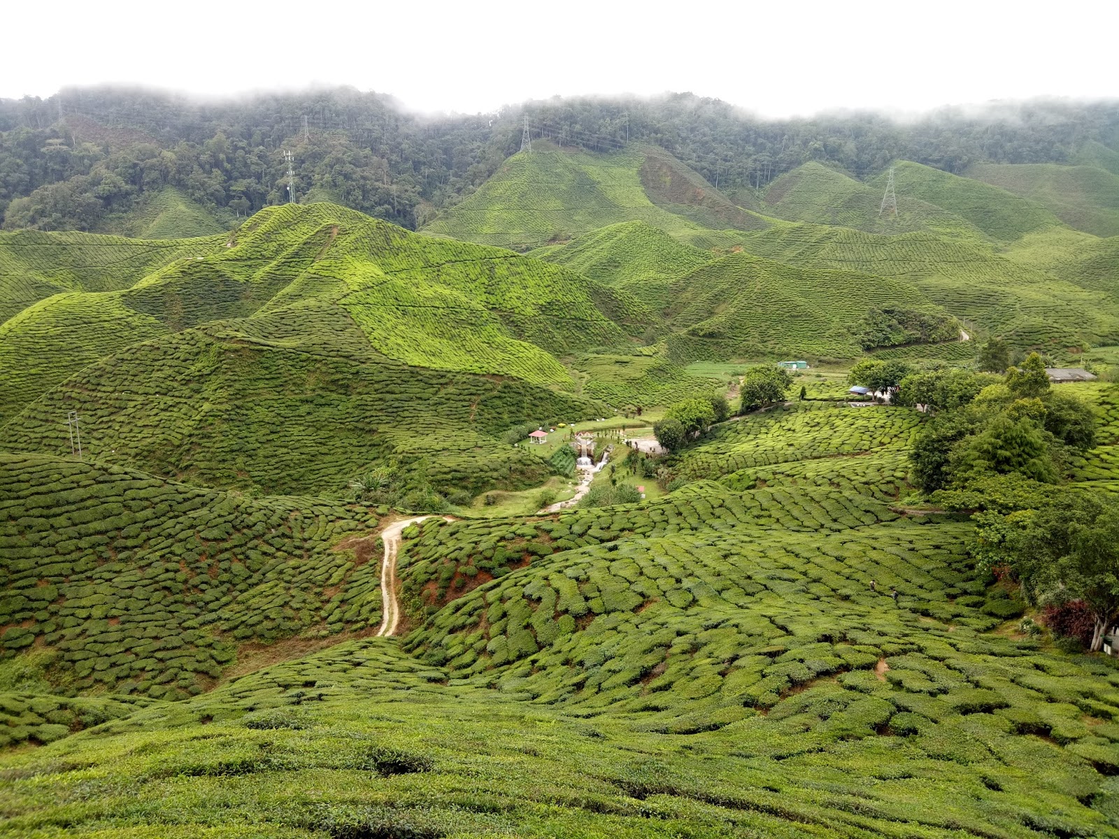 MENCARI CINTA ABADI: Destinasi Kelima Percutian di Cameron Highlands ...