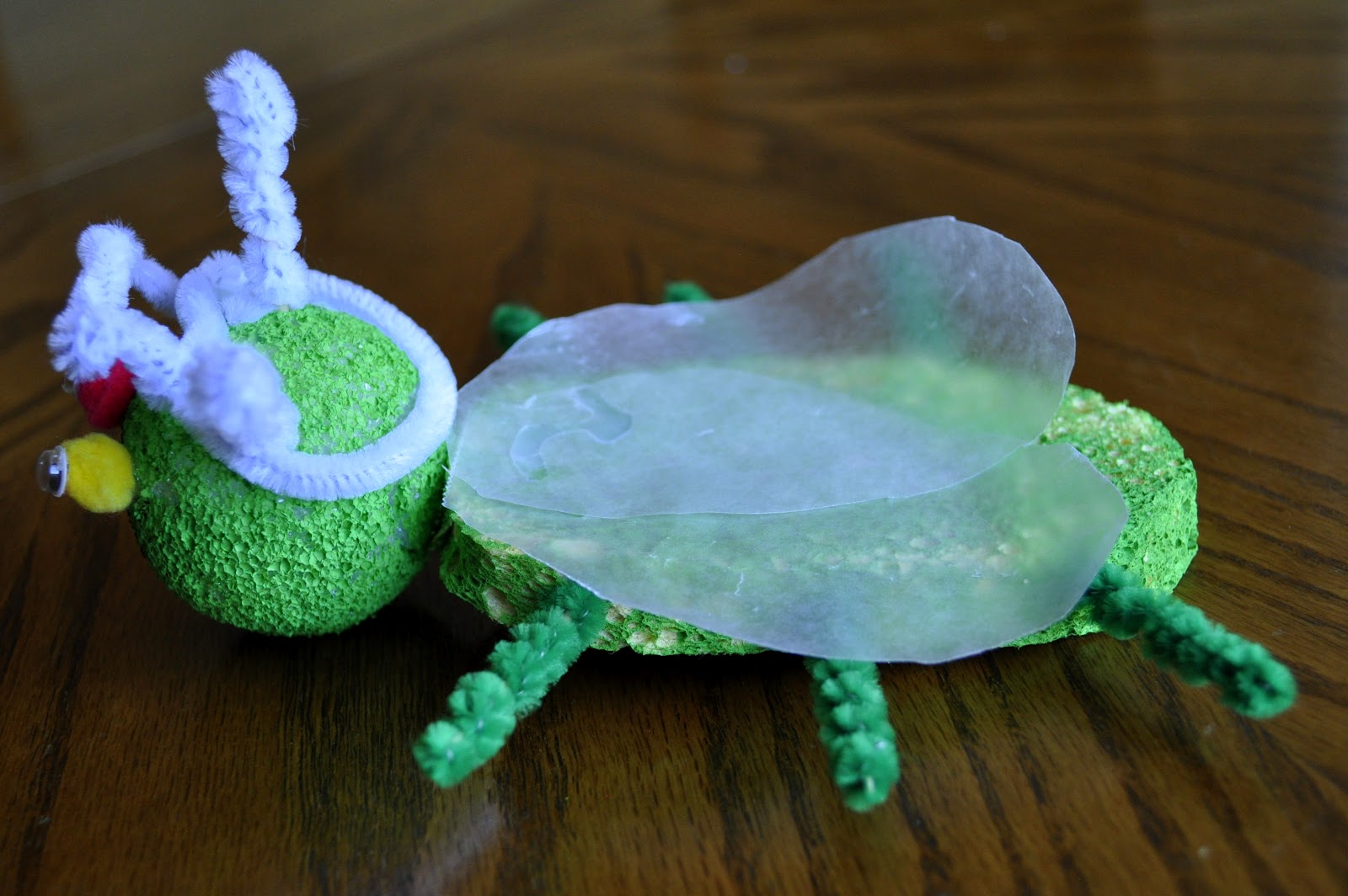 Build a Bug Craft ~ She's Crafty