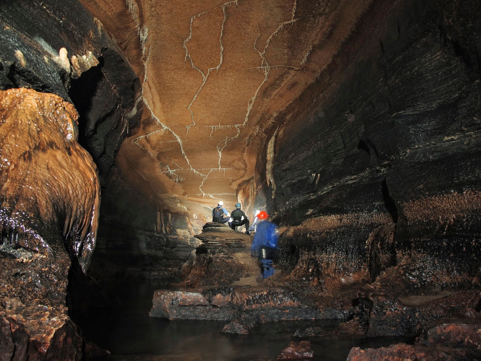 COLDWATER CAVE DOWN RIVER - ADAM HAYDOCK