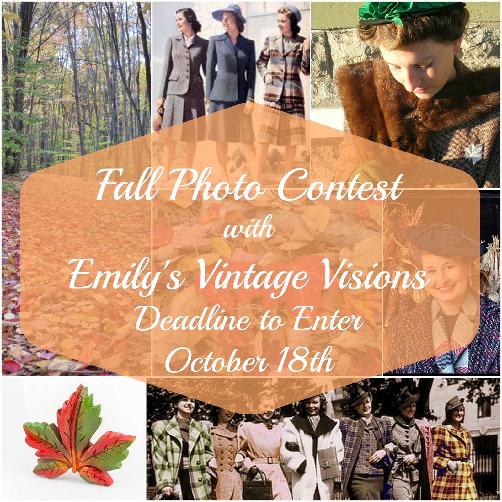Emily's Vintage Visions: Announcing My Fall Photo Contest!