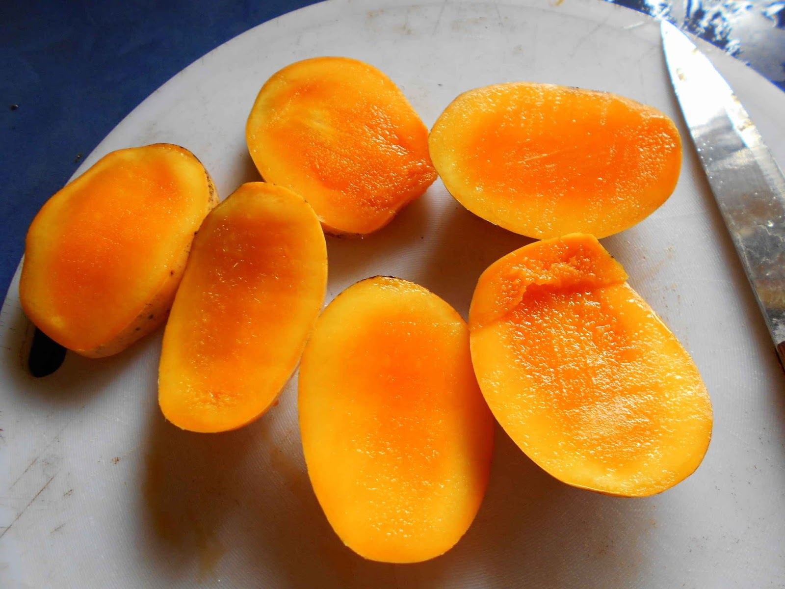 Perpetuating Peace in Panama: Mango Madness and Planting Rice